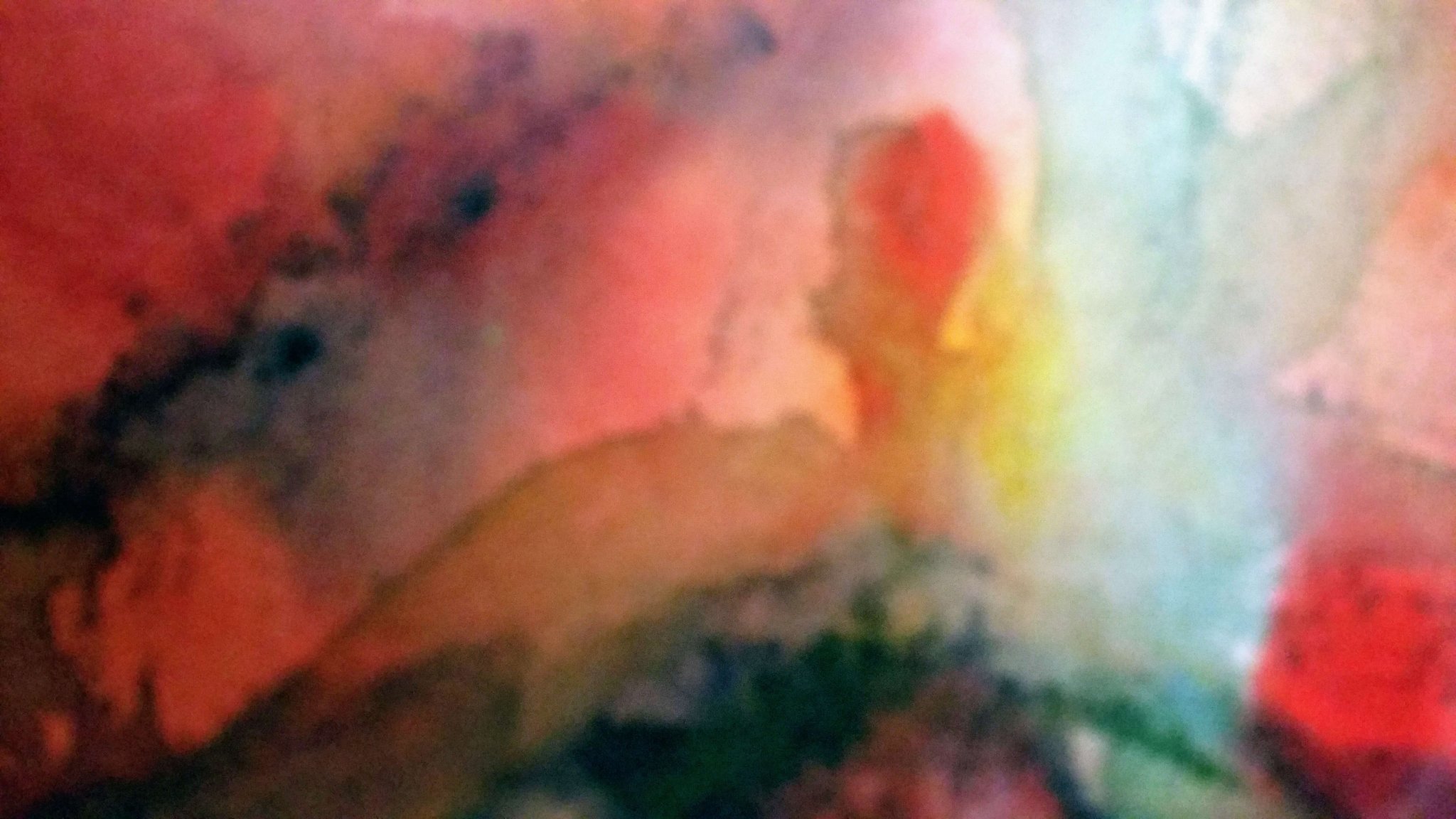 About Lily Iona MacKenzie | lilyionamackenzie.com